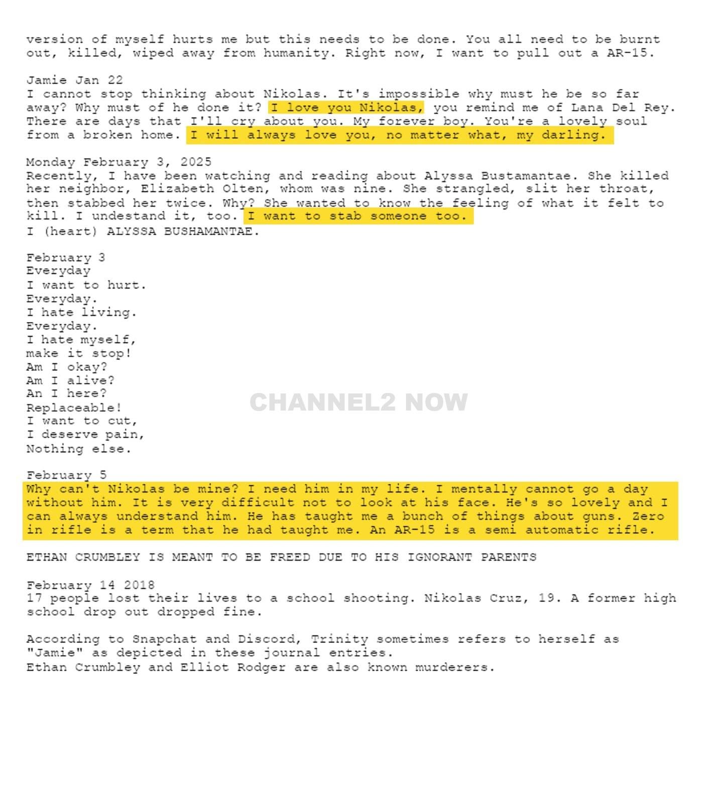 Trinity Shockley identified as a transgender male, influenced by ...